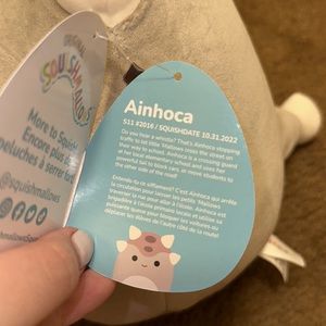Squishmallows | Other | Ainhoca The Armored Dinosaur Squishmallow 1 Nwt ...